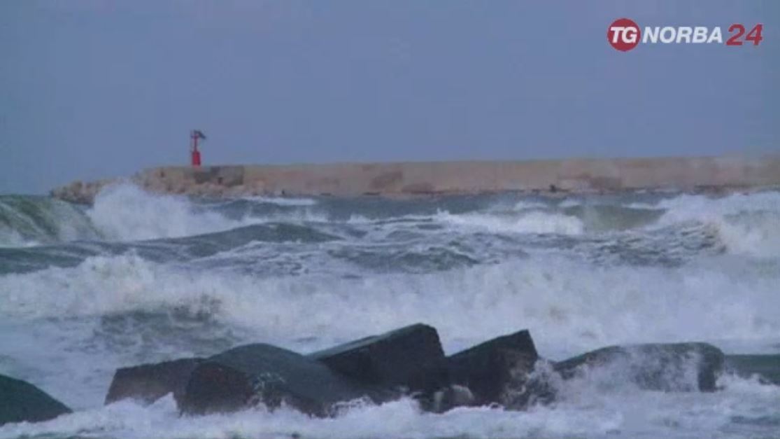 Piogge e forte vento: torna il maltempo in Puglia - Telenorba