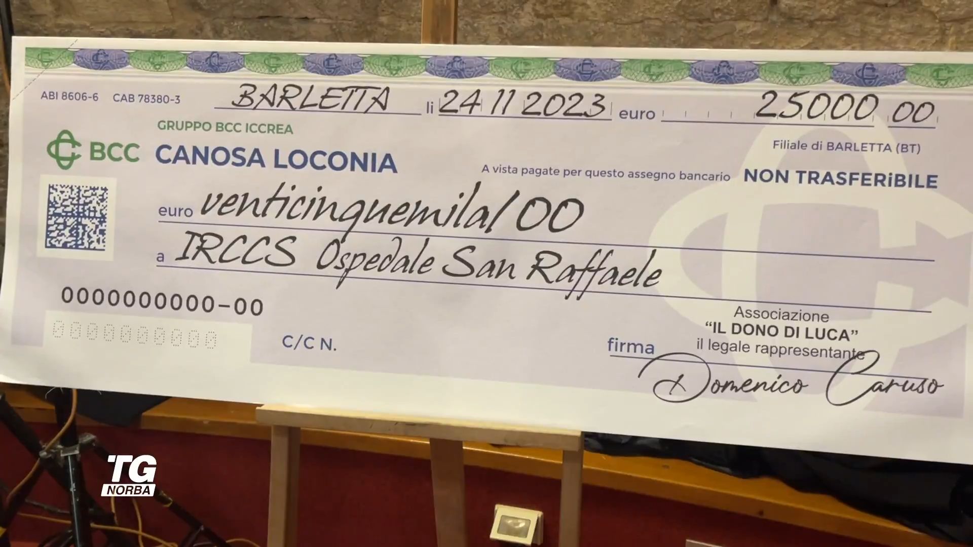 Barletta, il dono di Luca al San Raffaele di Milano per finanziare la ...